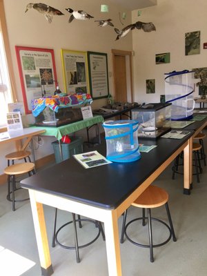 EMMA TREADWELL THACHER NATURE CENTER - 87 Nature Center Way ...