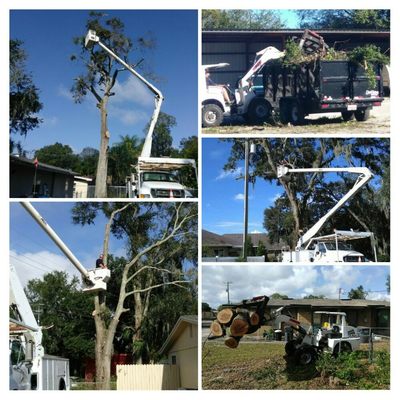 LYONS FAMILY TREE CARE - Updated October 2025 - 12 Photos - 12220 ...