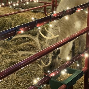 MIRACLE AT BIG ROCK - Updated December 2025 - 49 Photos & 10 Reviews ...