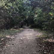 RIVER PLACE NATURE TRAIL - 383 Photos & 198 Reviews - Hiking - 8830 Big ...