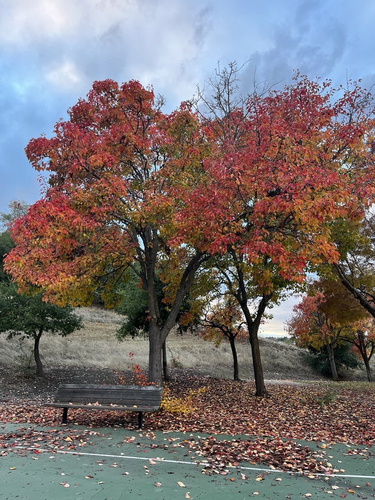 SKILLMAN PARK - Updated December 2025 - 11 Photos - 488 Gallagher Dr ...