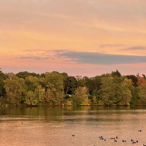 RASPBERRY ISLAND REGIONAL PARK - Updated June 2025 - 73 Photos - 2 ...