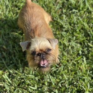 BANFIELD PET HOSPITAL - 18 Photos & 40 Reviews - Veterinarians - 2290 ...