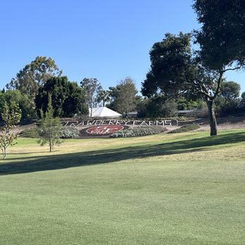 STRAWBERRY FARMS GOLF CLUB - Updated September 2025 - 390 Photos & 375 ...