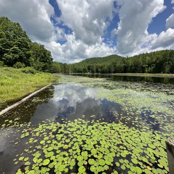 BOLTON CONSERVATION PARK - Updated June 2025 - 10 Photos - Edgecomb ...