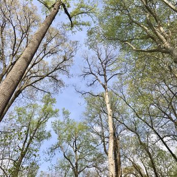 DANIELS RUN PARK - Updated December 2025 - 149 Photos & 12 Reviews ...