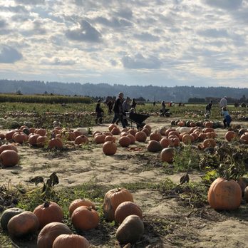 STOCKER FARMS - Updated August 2025 - 193 Photos & 129 Reviews - 8705 ...