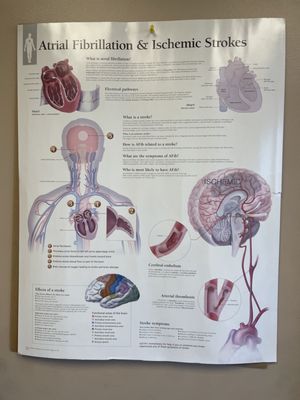 CAPITAL CARDIOLOGY ASSOCIATES - Updated August 2025 - 12 Photos & 39 ...