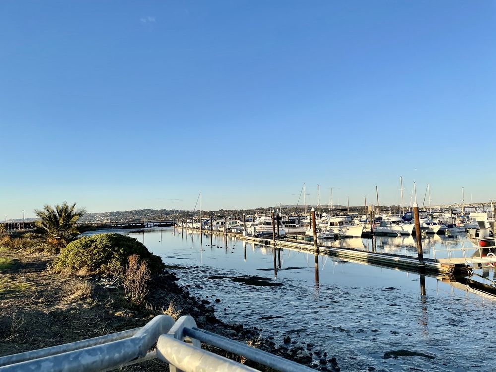 MARINA WATERFRONT PARK - Updated January 2025 - 25 Photos - Joe ...