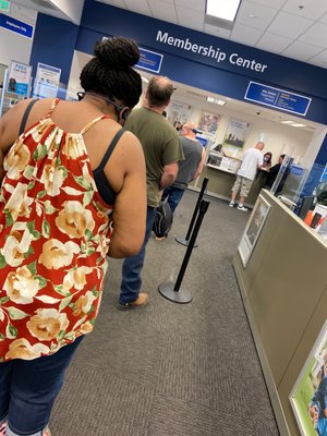 AAA ELK GROVE-LAGUNA BRANCH - Updated October 2025 - 41 Photos & 130 Reviews - 8225 Laguna Blvd ...