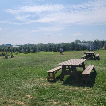 TERHUNE ORCHARDS - Updated July 2025 - 621 Photos & 389 Reviews - 330 ...