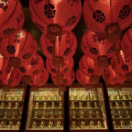 NEW LUCK TOY - Updated October 2025 - 221 Photos & 265 Reviews - 5905 ...