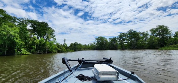 BAYOU SEGNETTE STATE PARK - 51 Photos & 44 Reviews - 7777 Westbank Expy ...
