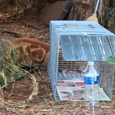 FIXNATION - Updated December 2025 - 82 Photos & 187 Reviews - 21200 ...