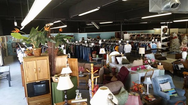 THRIFTOLOGY - Updated October 2025 - 32 Photos & 31 Reviews - 555 N ...