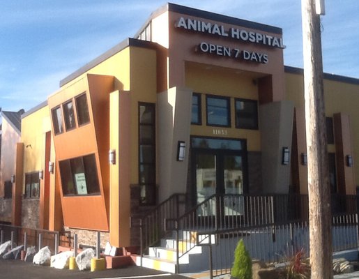 SOUTH SEATTLE VETERINARY HOSPITAL - Updated June 2026 - 118 Photos ...