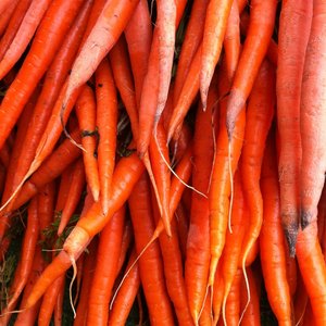 FULLERTON MARKET - TEMP. CLOSED - Updated January 2026 - 145 Photos ...