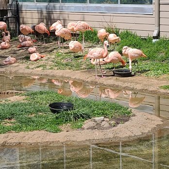 BLANK PARK ZOO - Updated January 2026 - 344 Photos & 85 Reviews - 7401 ...