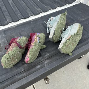 RC SPORTS CENTER - 8303 Rochester Ave, Rancho Cucamonga, California ...