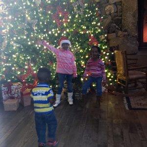 BASS PRO SHOPS - 180 Photos & 81 Reviews - 1000 Bass Pro Dr, Houston ...