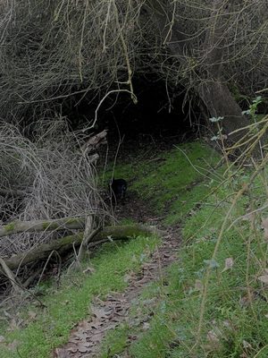 RIVERBOTTOM PARK - Updated October 2025 - 16 Photos - Fresno ...