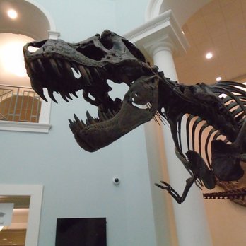 MAYBORN MUSEUM - Updated September 2024 - 183 Photos & 70 Reviews ...