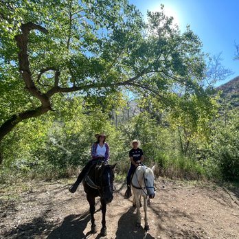 CIRCLE BAR B STABLES - Updated July 2024 - 655 Photos & 448 Reviews ...