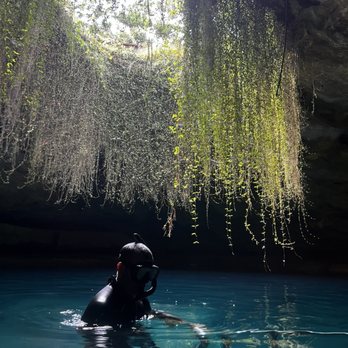 DEVIL’S DEN PREHISTORIC SPRING - Updated February 2026 - 622 Photos & 258 Reviews - 5390 NE ...