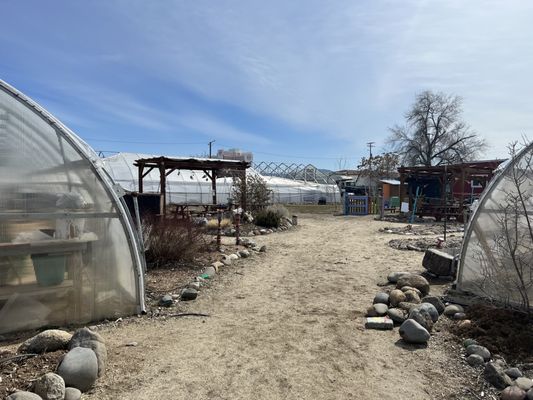 URBAN ROOTS - Updated September 2025 - 28 Photos & 14 Reviews - 1700 E ...