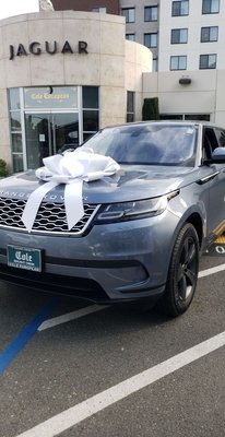 COLE EUROPEAN - Updated October 2025 - 192 Photos & 421 Reviews - 2103 ...