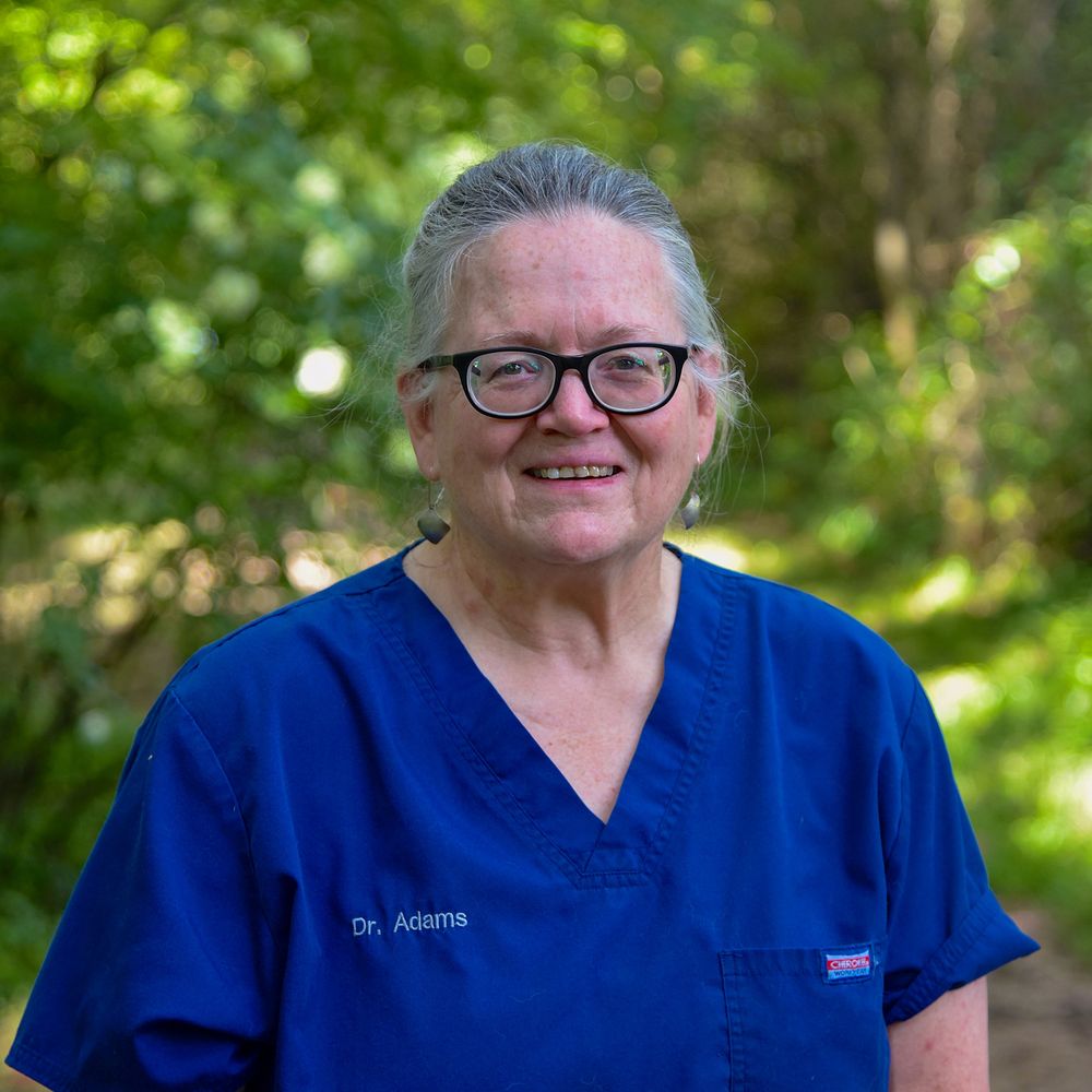 ILA VETERINARY CLINIC - Updated July 2025 - 1030 Hwy 106 N ...