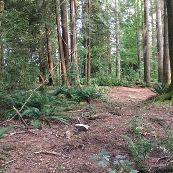 SIMON FRASER HILLS PARK - Updated December 2025 - 74 Photos - 9025 ...