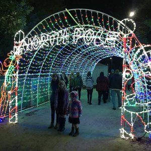 CAROLINA FOREST RECREATION CENTER - Updated November 2024 - 2254 ...