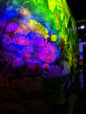 SEAMONSTER LOUNGE - 100 Photos & 129 Reviews - 2202 N 45th St, Seattle ...