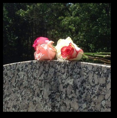 COILE AND HALL FUNERAL DIRECTORS - Updated June 2025 - 21 Photos - 333 ...