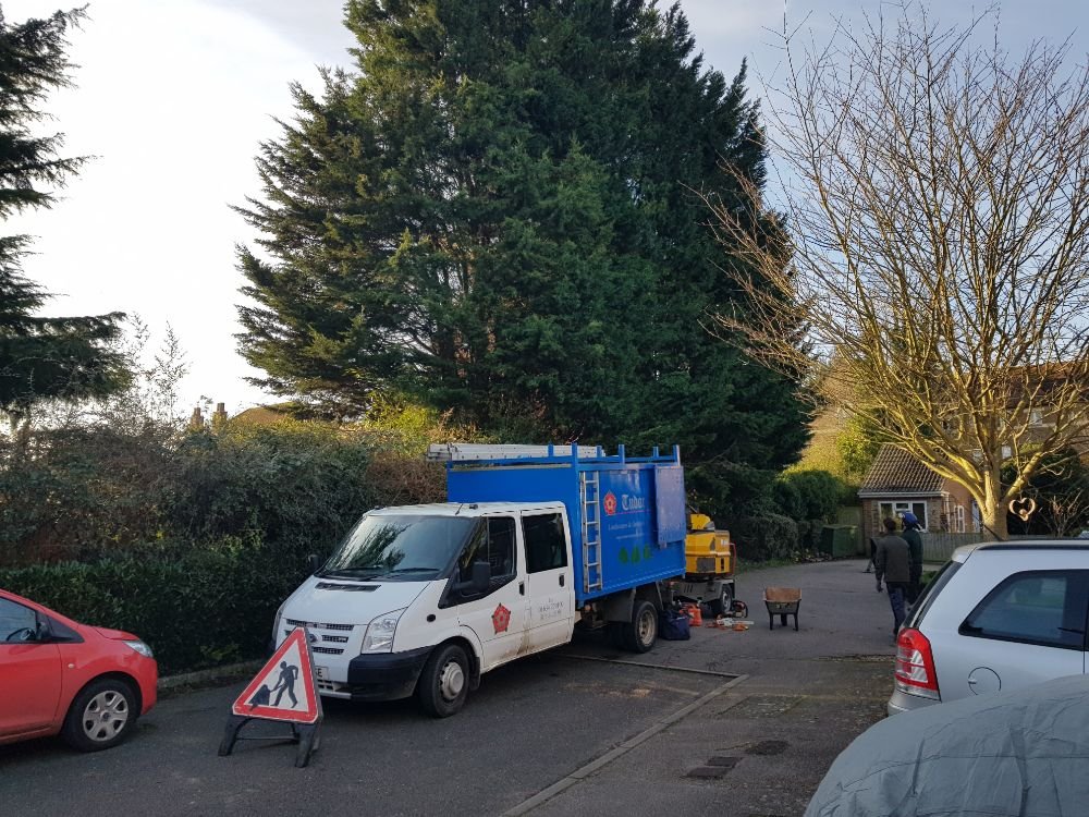 TUDOR ROSE LANDSCAPES - Request a Quote - 20 Photos - Landscaping ...