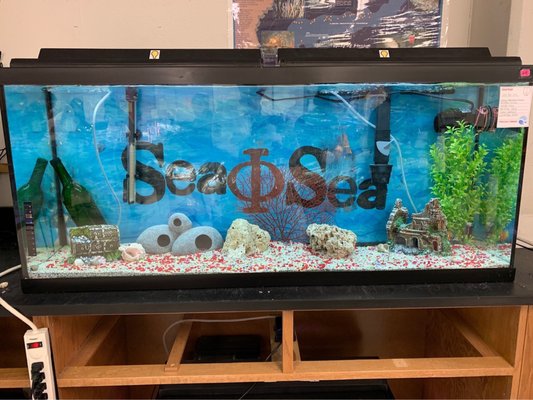 INFINITY FISH - Updated May 2024 - 27 Photos & 20 Reviews - 13003 ...