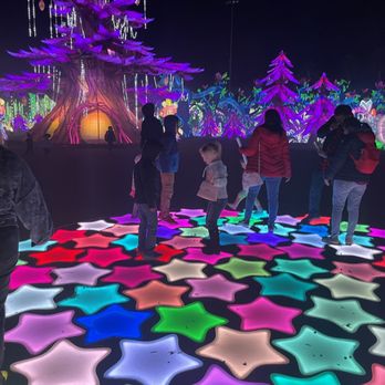 STOCKTON LANTERN FESTIVAL MAGIC FOREST - Updated October 2025 - 62 ...