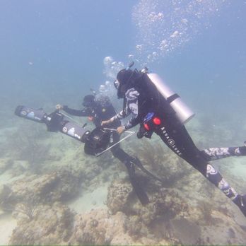 ACE DIVING MIAMI - Updated October 2025 - 24 Photos - 401 Biscayne Blvd Pier 5 Slip 33, Miami ...