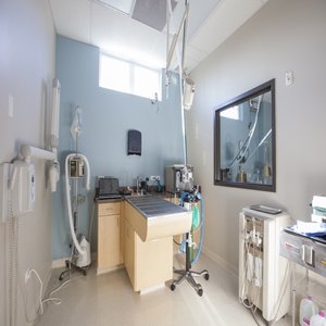 NILES ANIMAL HOSPITAL & BIRD MEDICAL CENTER - Updated February 2025 ...