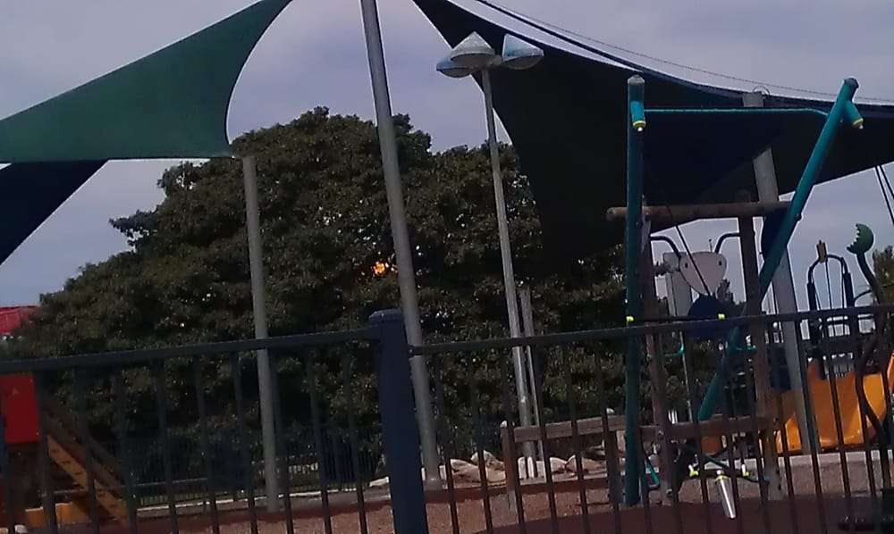 TEMPE RESERVE - Updated September 2024 - Tempe New South Wales ...