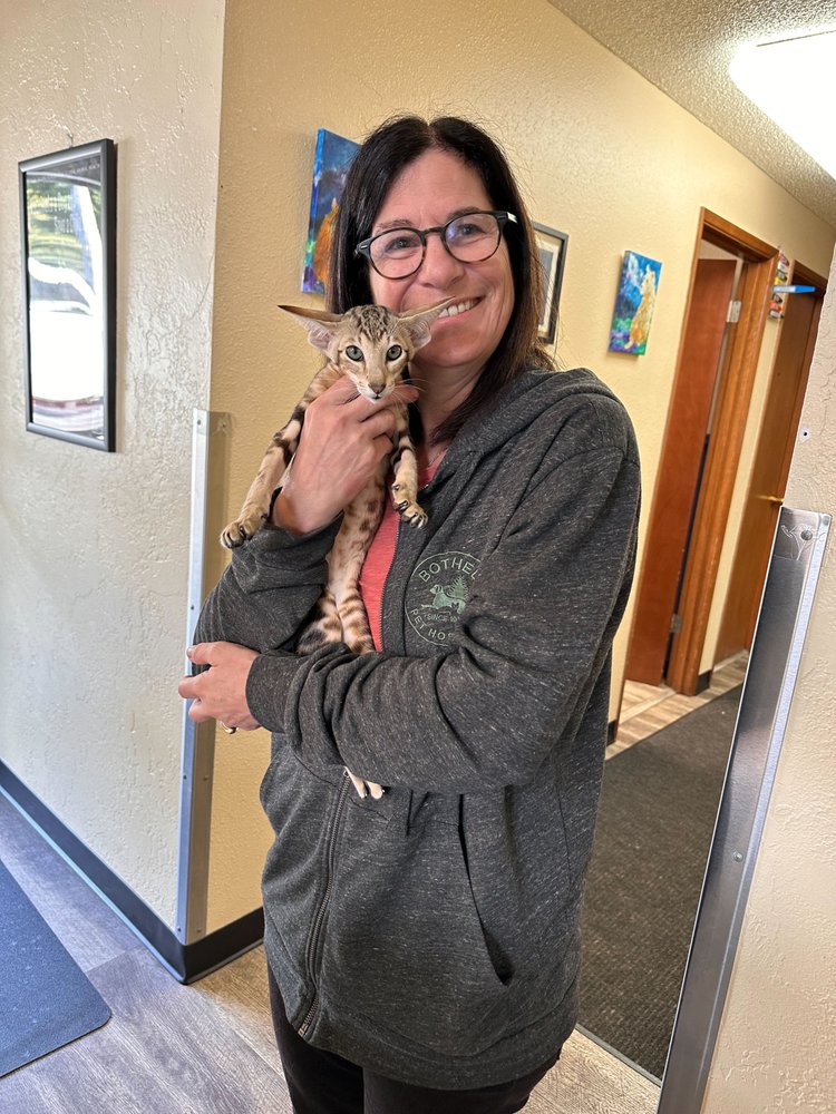 BOTHELL PET HOSPITAL - VETERINARY CLINIC - Updated August 2025 - 23 ...