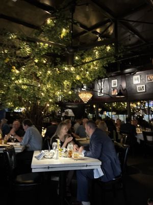 CAPRI RISTORANTE - Updated December 2025 - 346 Photos & 649 Reviews ...