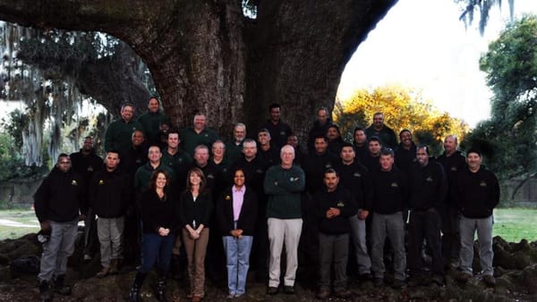 BAYOU TREE SERVICE - Updated November 2025 - 46 Photos & 11 Reviews ...