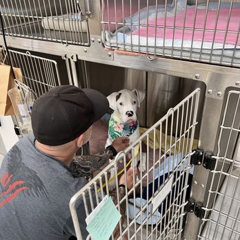 RISE PET HEALTH - Updated September 2024 - 53 Photos & 72 Reviews - 24721 Alicia Pkwy, Laguna ...