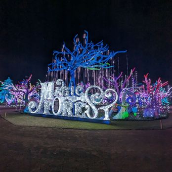 STOCKTON LANTERN FESTIVAL MAGIC FOREST - Updated October 2025 - 62 ...
