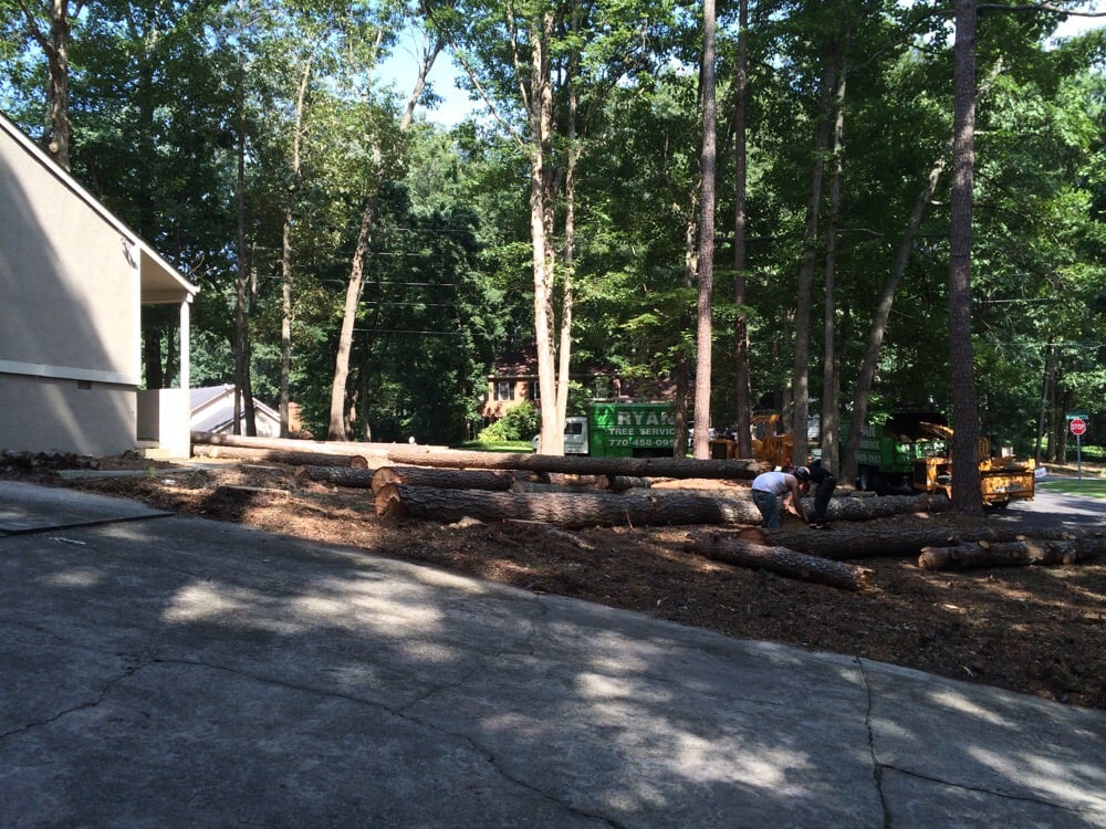 RYAN TREE SERVICE - Updated October 2025 - 11 Photos & 26 Reviews ...