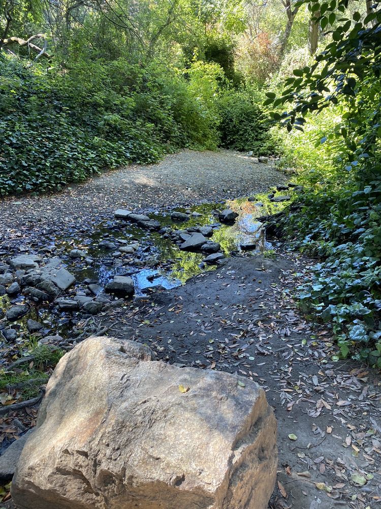 DIMOND PARK - Updated June 2026 - 201 Photos & 38 Reviews - 3860 Hanly ...