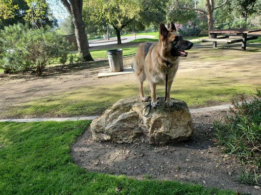 SAN DIMAS CANYON PARK - Updated December 2025 - 98 Photos & 31 Reviews ...