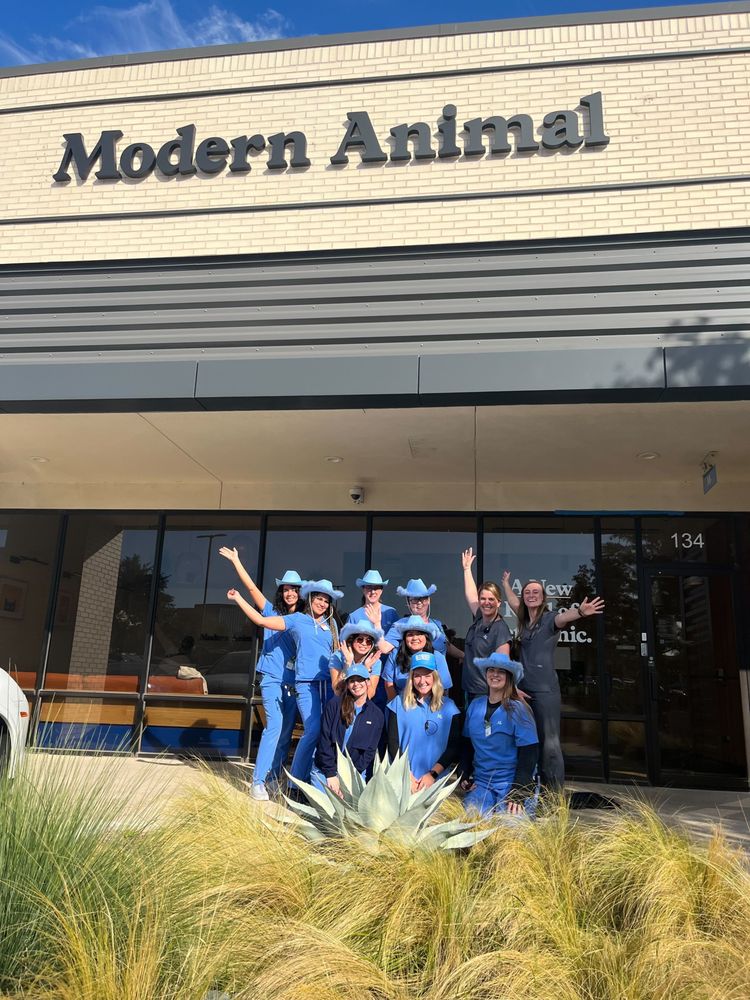 MODERN ANIMAL - Updated December 2025 - 16 Photos & 12 Reviews - 5290 ...